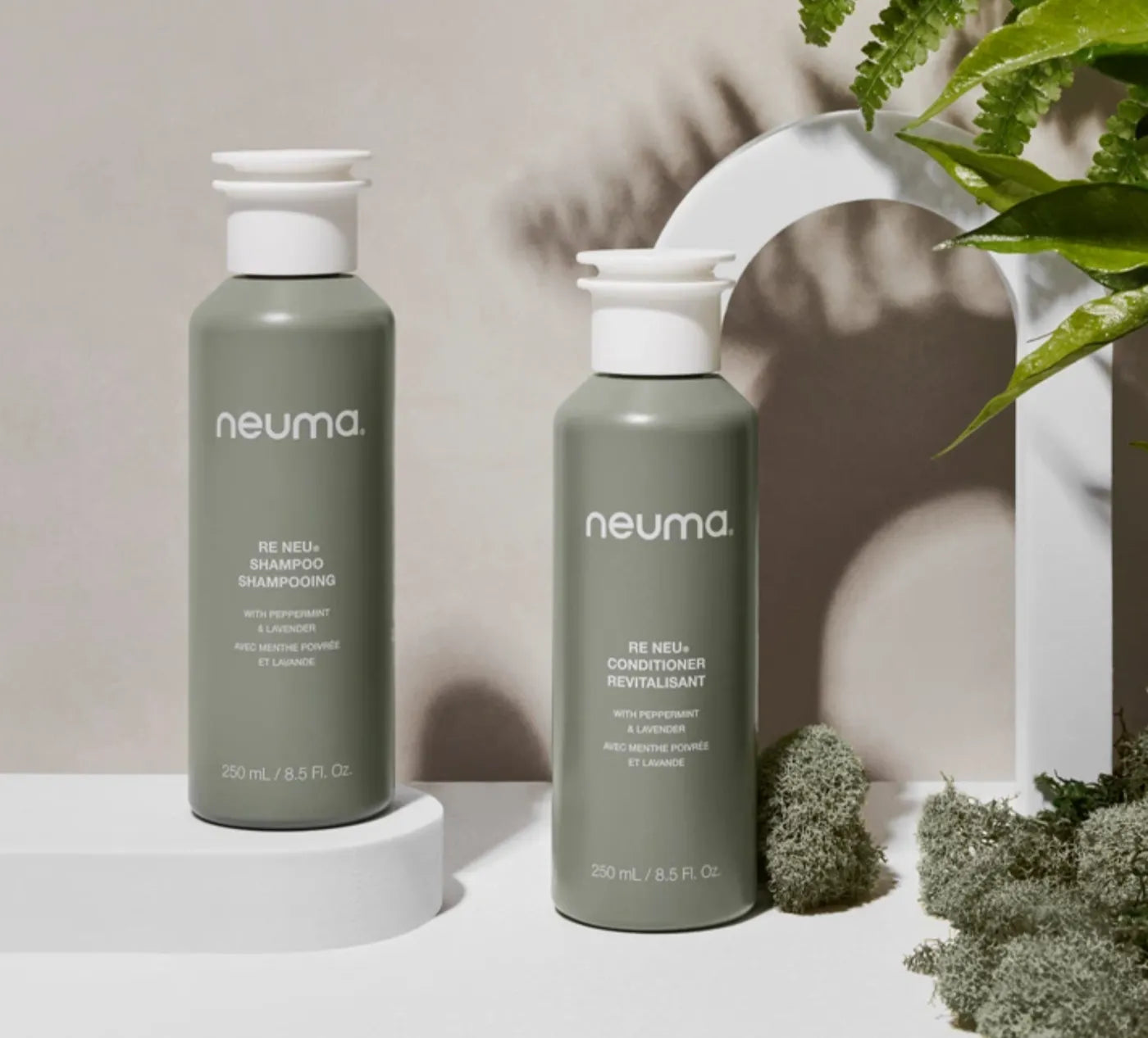 Neuma Collections - RE NEU® – International Beauty